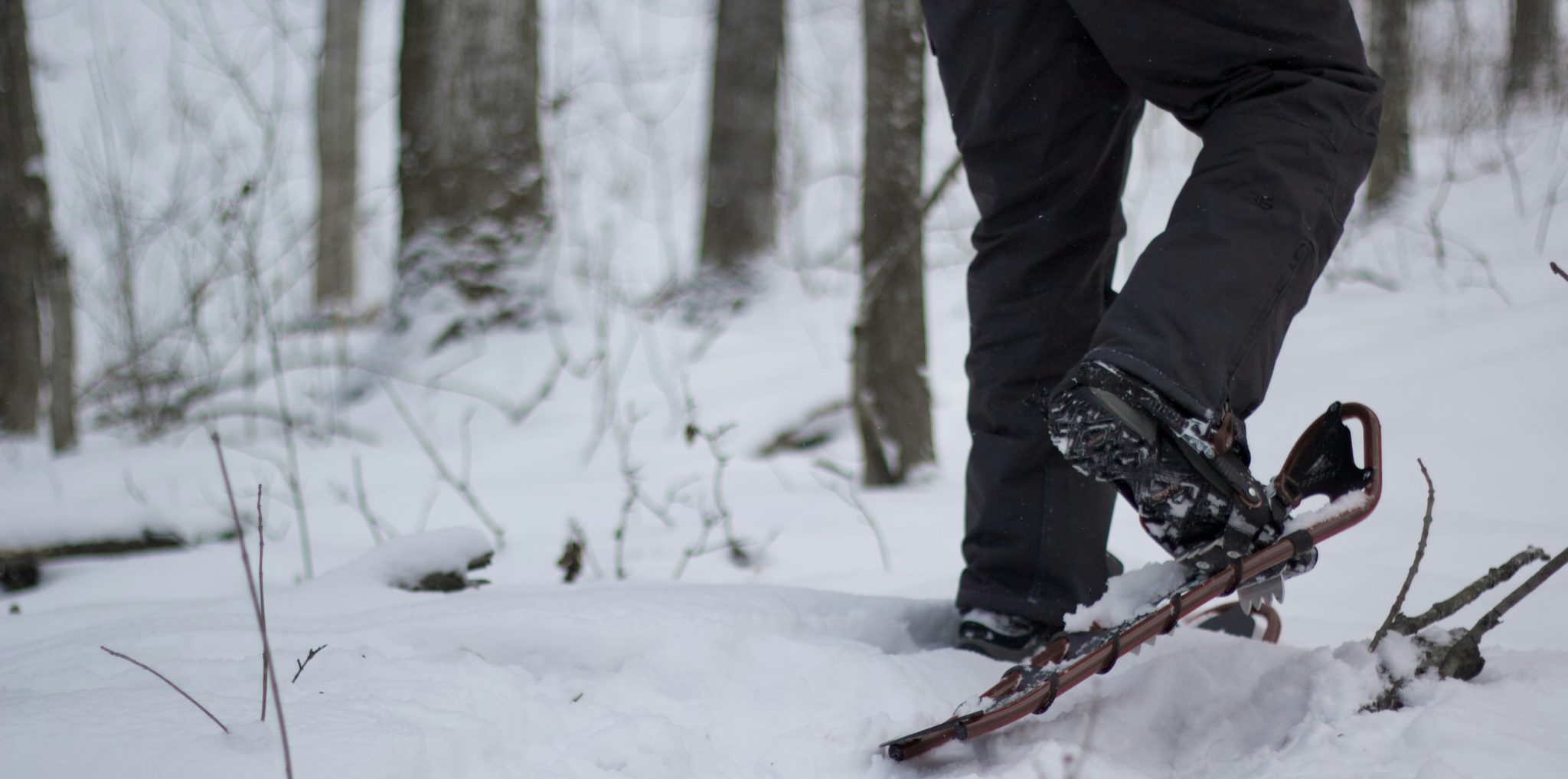 Snowshoeing for Beginners: A Complete Guide to Snowshoes, Gear & Tips ...