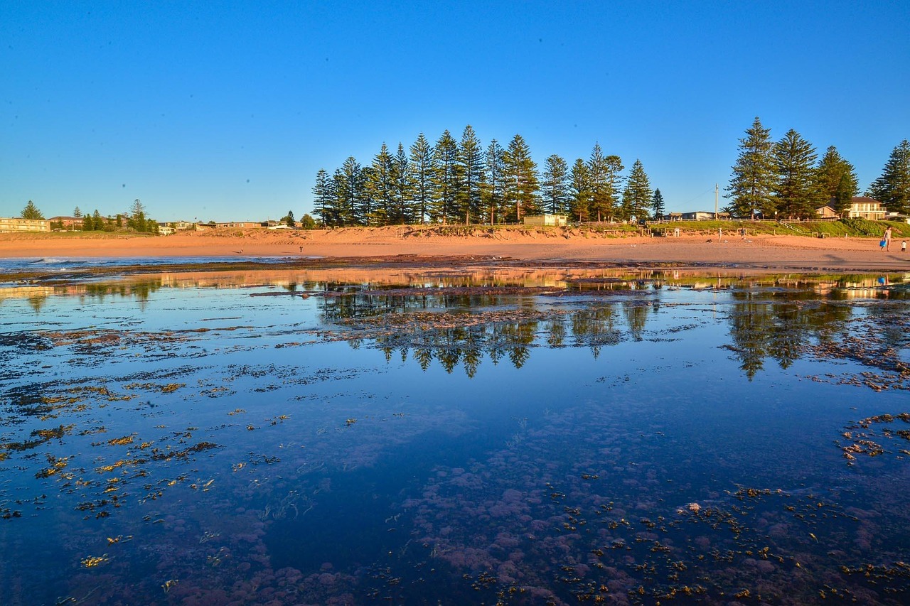 11 Uncharted Locations That Haven’t Been Fully Mapped - Bushcraft Base Camp